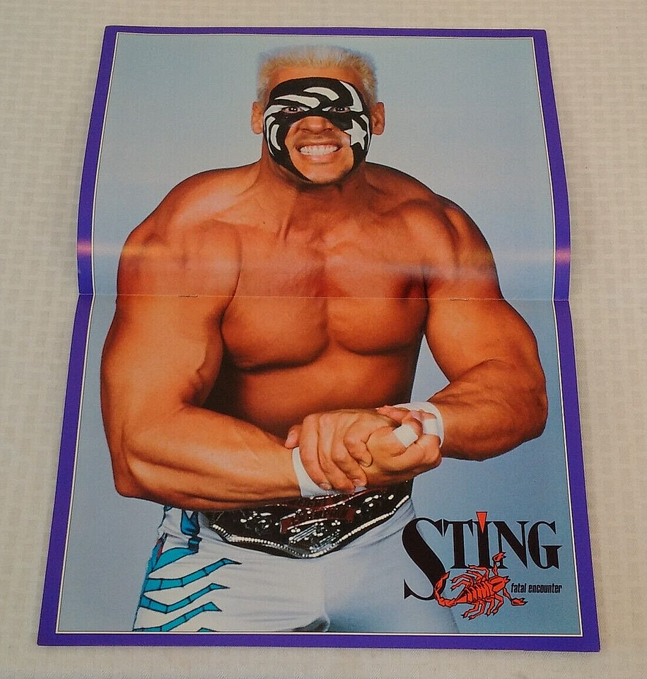 1989 WCW Wrestling Program Wrap Up Magazine WWF WWE #4 Issue Sting ...