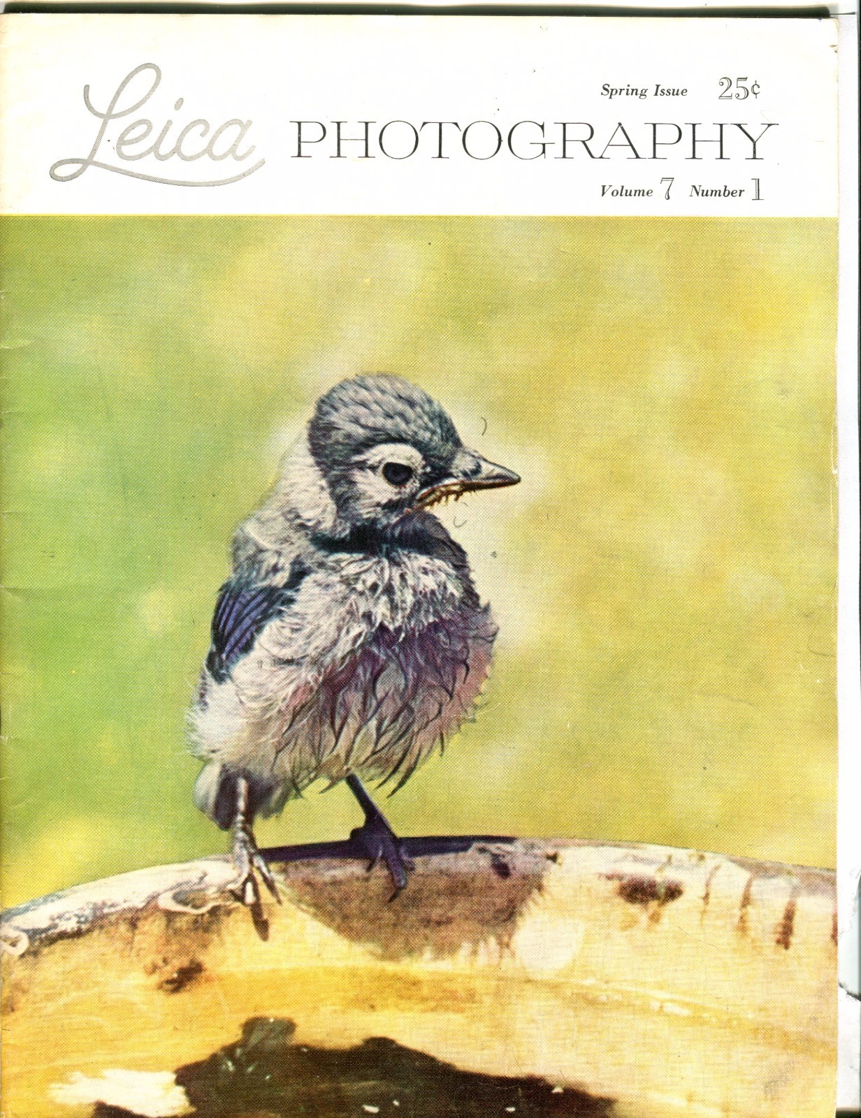 Leica Photography Magazine Spring Issue 1954 Emily Goode EX 032817lej ...