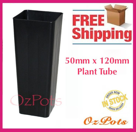 50mm Square Native Plant Tube / Pot x 180pcs - Propagation, Seedling ...