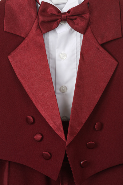 Baby Toddler & Boy Burgundy Dark Red Wedding Formal Tuxedo Suit for 3-6 ...