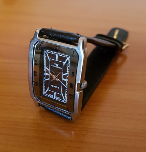 Giani Giorgio Quartz Japan MOVT Steel Back Wrist Watch | eBay