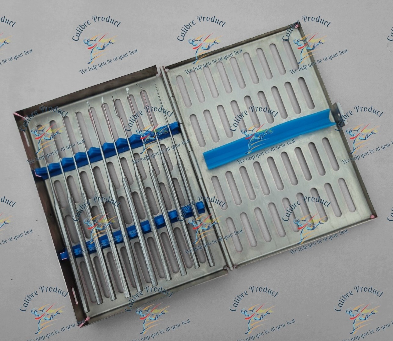 Shea Ear Operation Micro Repositor Set of 10 Pcs Surgical-ENT With ...