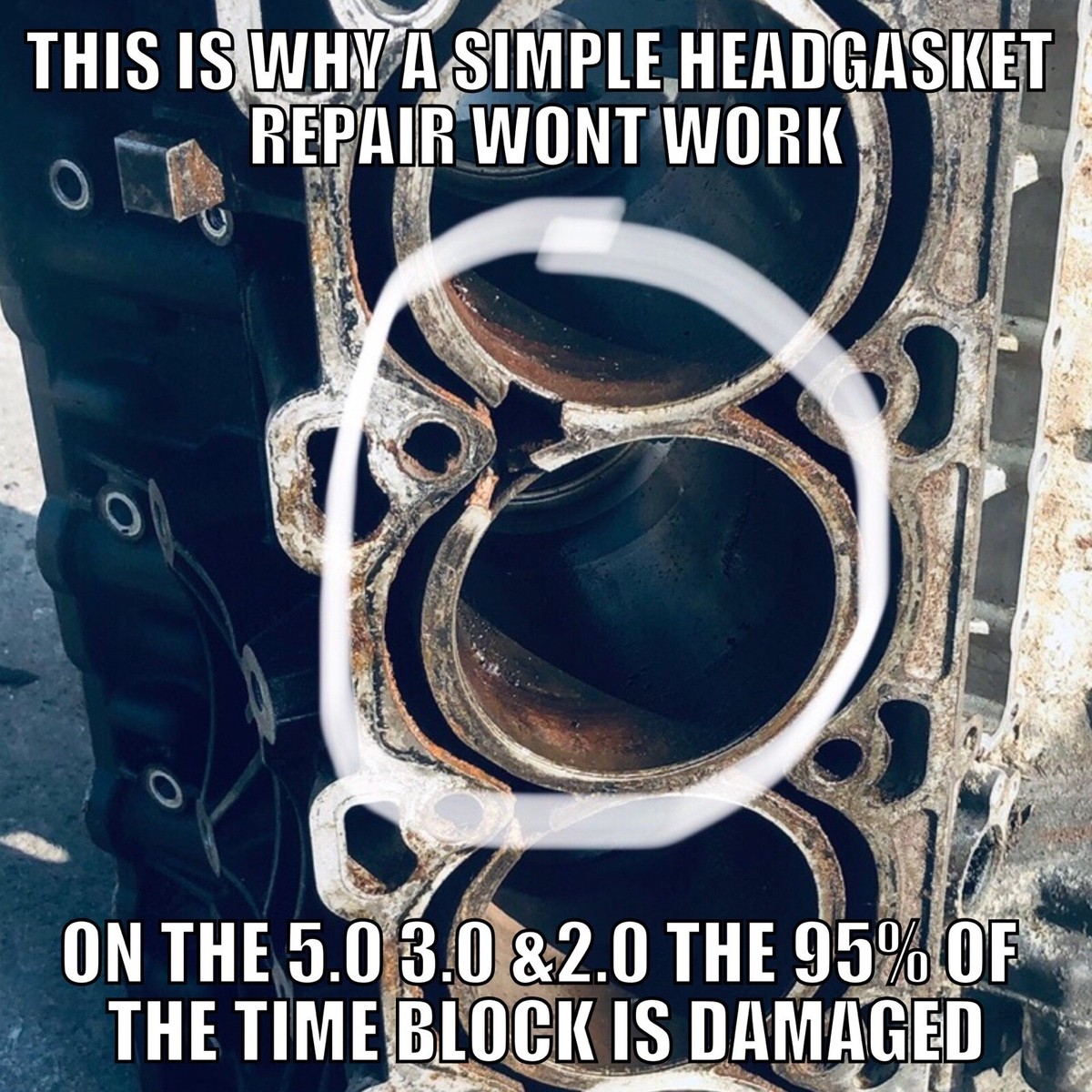 Head Gasket Memes