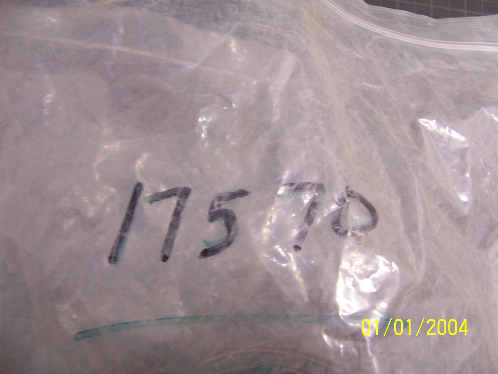 DAYCO TOP COG GOLD LABEL 17570 13A1450 COG BELT, N.O.S. | eBay