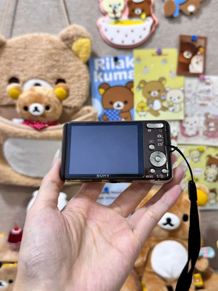 Sony DSC-W570 Cyber-shot Camera 16.1MP 5x Optical Zoom – Perfect for ...