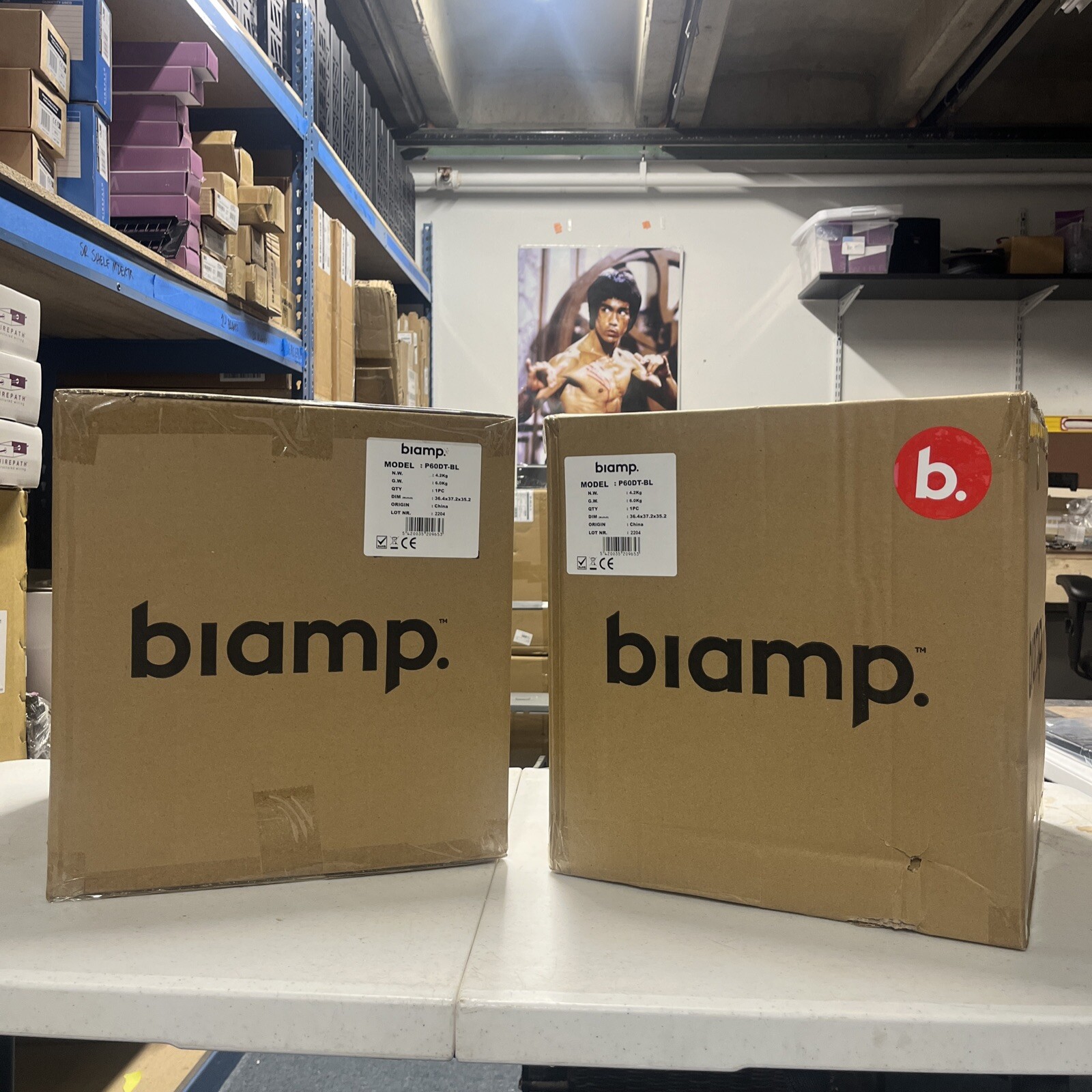 New Single BIAMP Apart P60DT-BL Black 6.5” Two-Way Pendant Loudspeaker ...