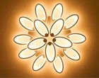 New Modern LED Flower Acrylic Ceiling Lamp Pendant L 09 | eBay
