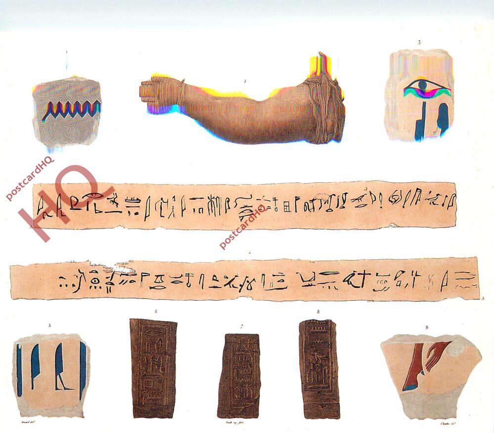 Picture Postcard, Ancient Egypt, Mummy Fragments | eBay UK
