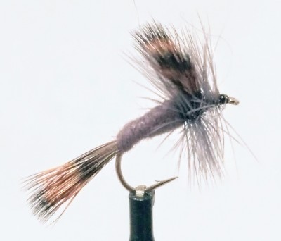 GREY WULFF Trout Dry Flies 3 Pack Attractor MAYFLY Fly Fishing Sizes 10 ...