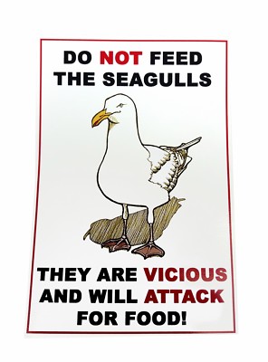 A6 Do Not Feed Vicious Seagull Gull Warning Sticker Sign - Shop ...