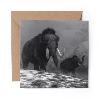 1 x Blank Greeting Card BW - Prehistoric Woolly Mammoth #36929 | eBay UK
