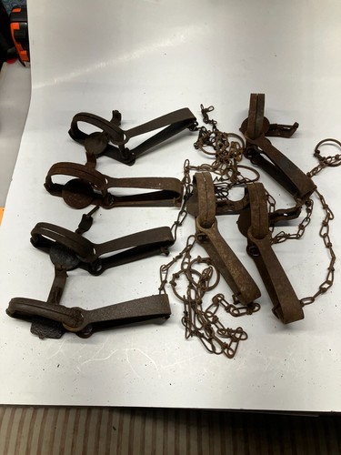 7 Total No. 1 Traps - Blake & Lamb and Unknown Brand Long Spring Traps ...