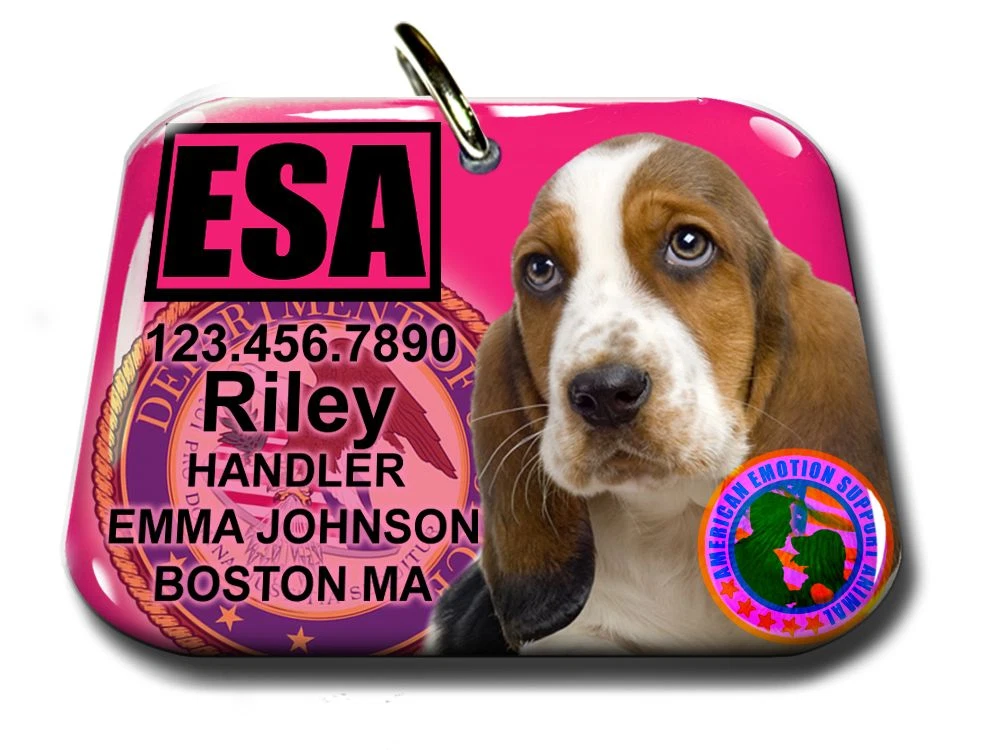 Service Animal Tag