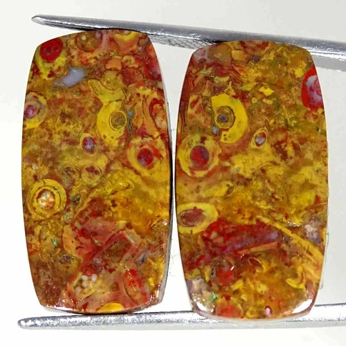 23.10Cts Naturel Rouge Palmier Racine Agate Coussin Paire Cab Desseré ...