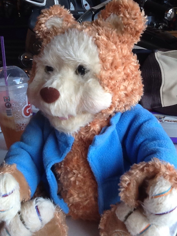 TJ Bearytales Teddy Bear Playskool Talking Moving Stuffed Animal 2 ...