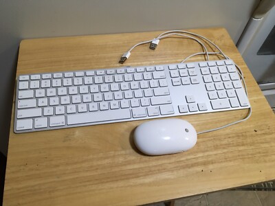 Apple A1243 MB110LL/B Wired Keyboard | eBay