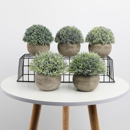 Biodegradable Pot Indoor Potted Decor Biodegradable Pulp No Watering ...