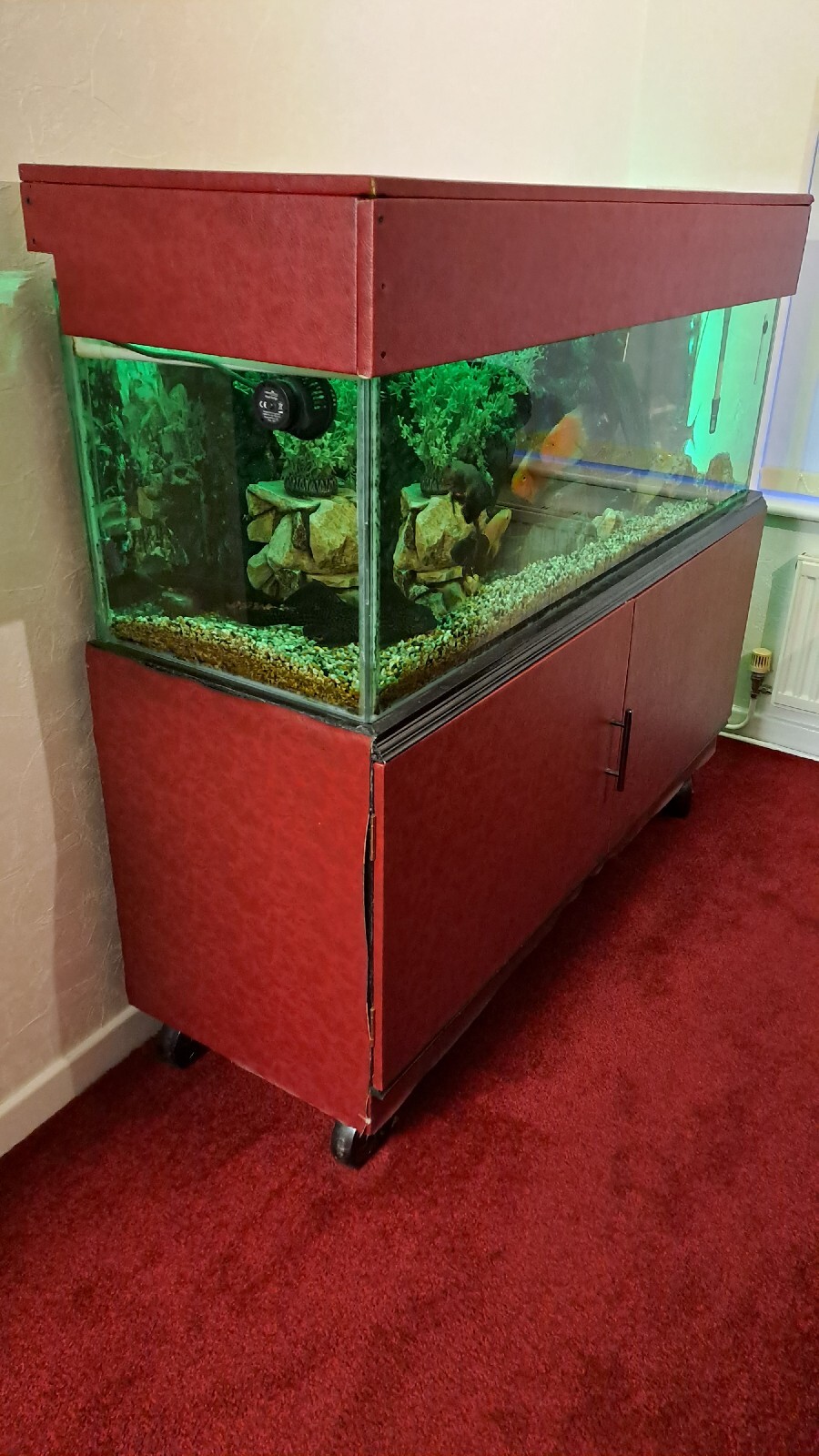 fish tank, marine, large on stand, includes fish | eBay UK