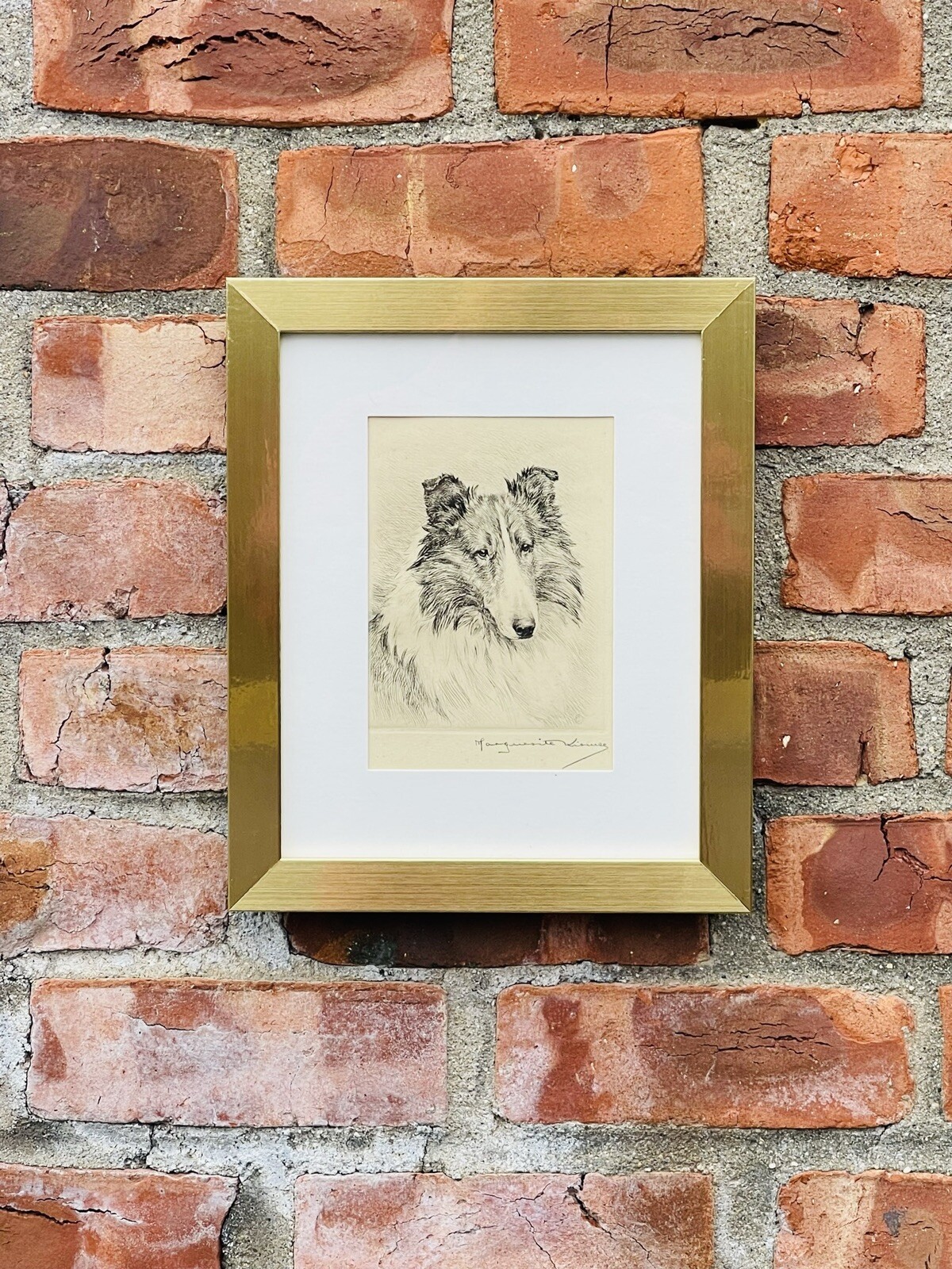 1930’s Signed Collie Dog Drypoint Etching. Dog Portrait Artist ...