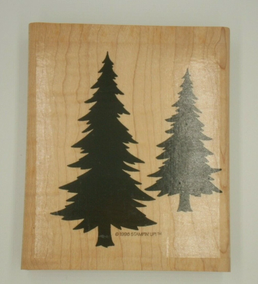Evergreen Tree Drawings
