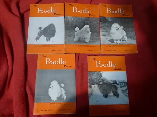 LOT OF 5 THE POODLE REVIEW MAGAZINE 1963 | eBay