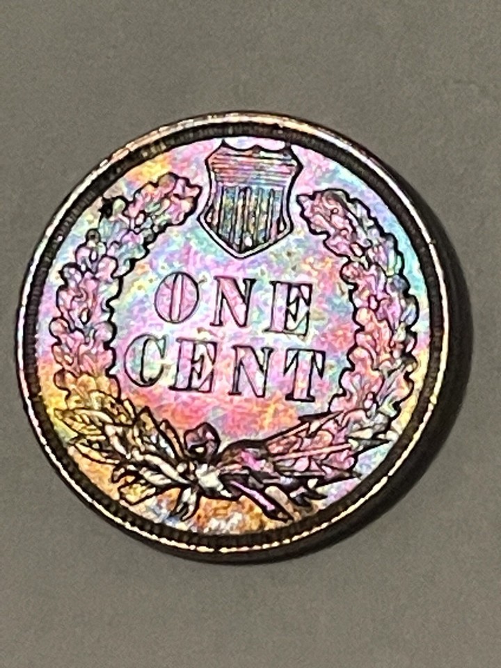 1895 Indian Head Cent Penny, Beautiful Solid Gem Unc +Overdate Toned ...