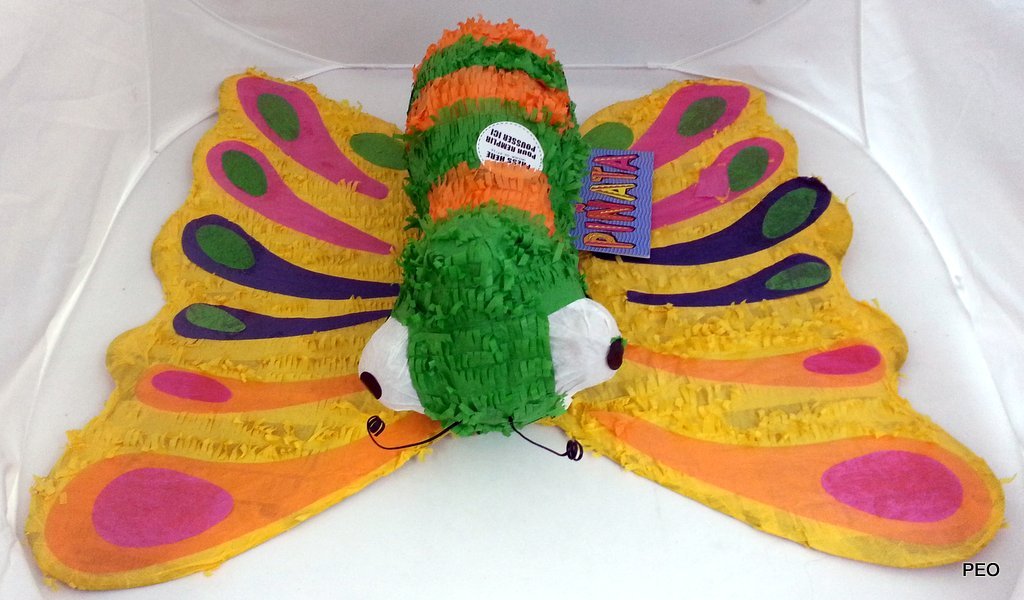 Butterfly Pinata Insect Pinatas Outdoor Birthday Party Butterflies | eBay