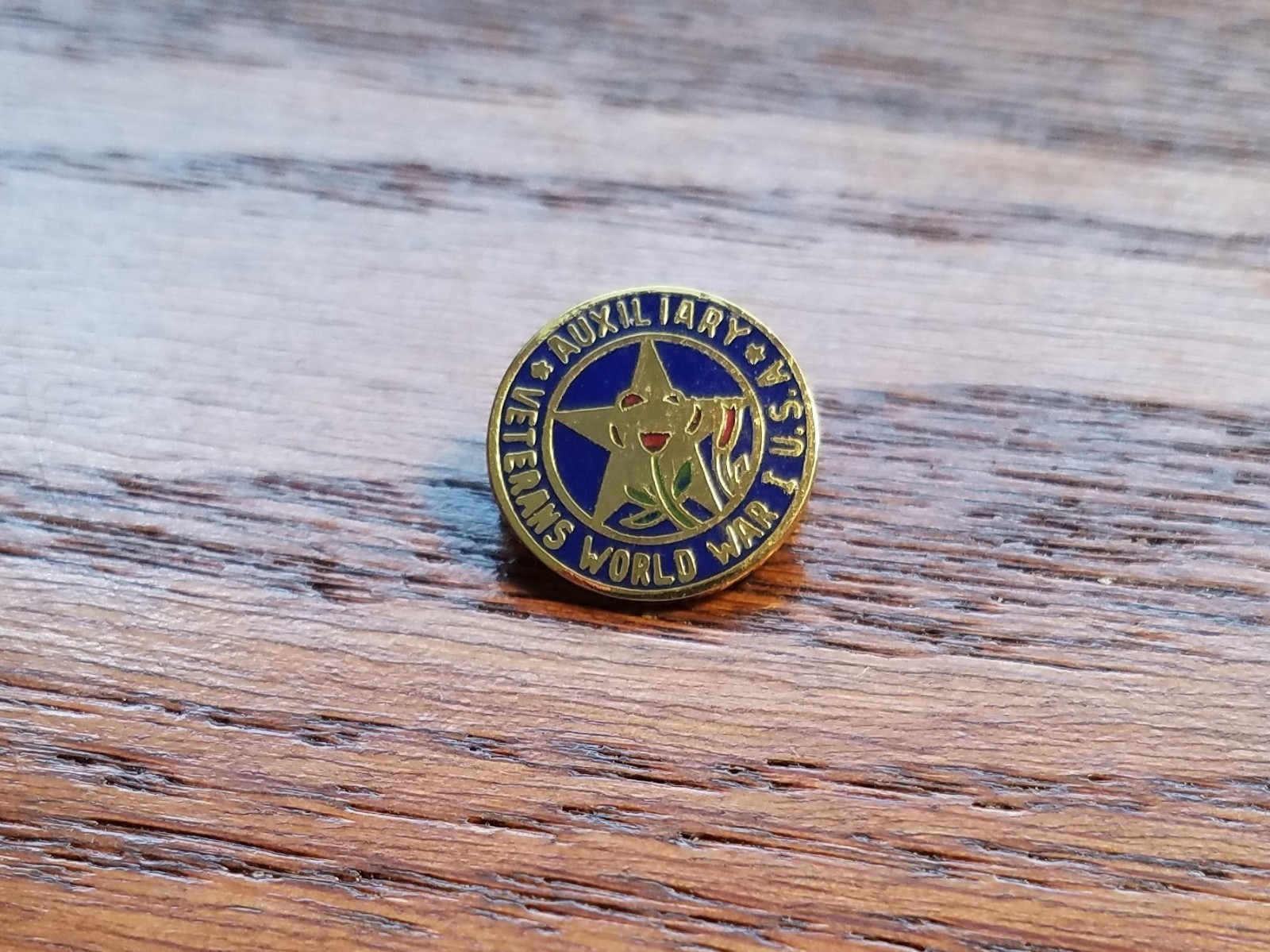 VINTAGE VETERANS OF WORLD WAR 1 AUXILIARY PIN | eBay