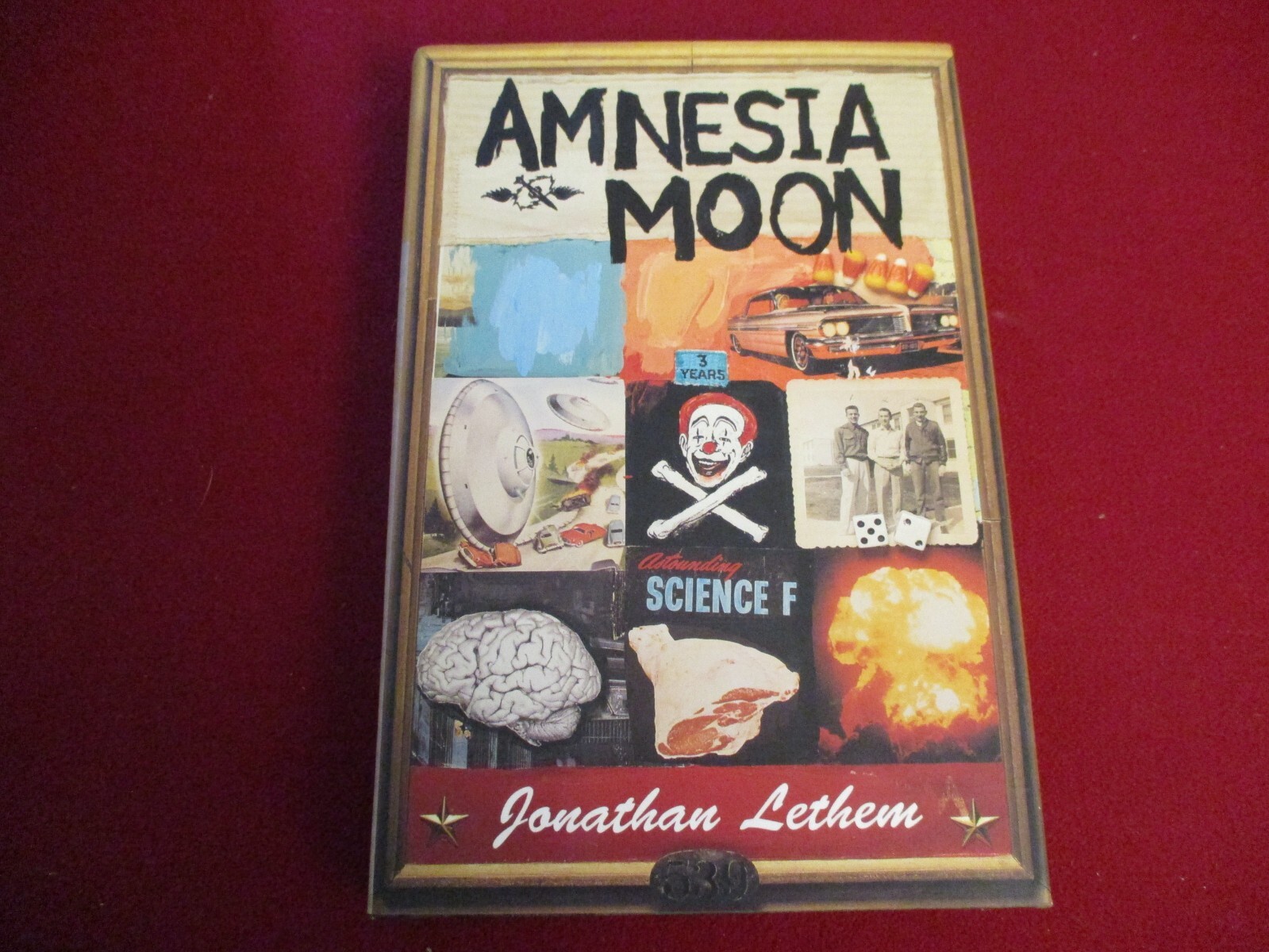 3 Jonathan Lethem Novels ~ Gun with Occasional Music ~ The Wall of the ...