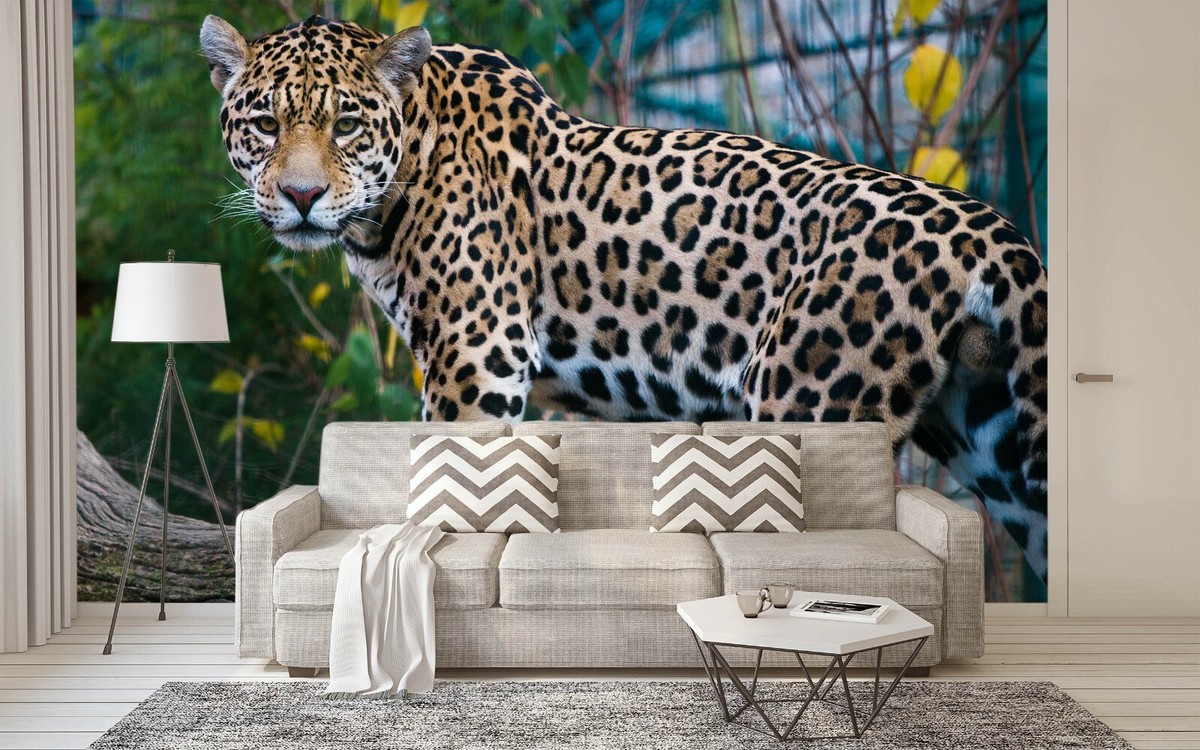 Leopard Wallpaper For Room