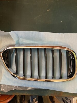 2017-2020 BMW 530e 530i 540d 540i RIGHT Front Upper Grille Kidney ...