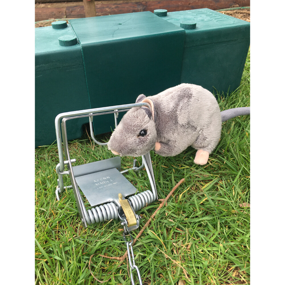 Fen Trap Vermin Mk 4 & Vermin Trap and Box Weasels Rats Squirrels Pest ...