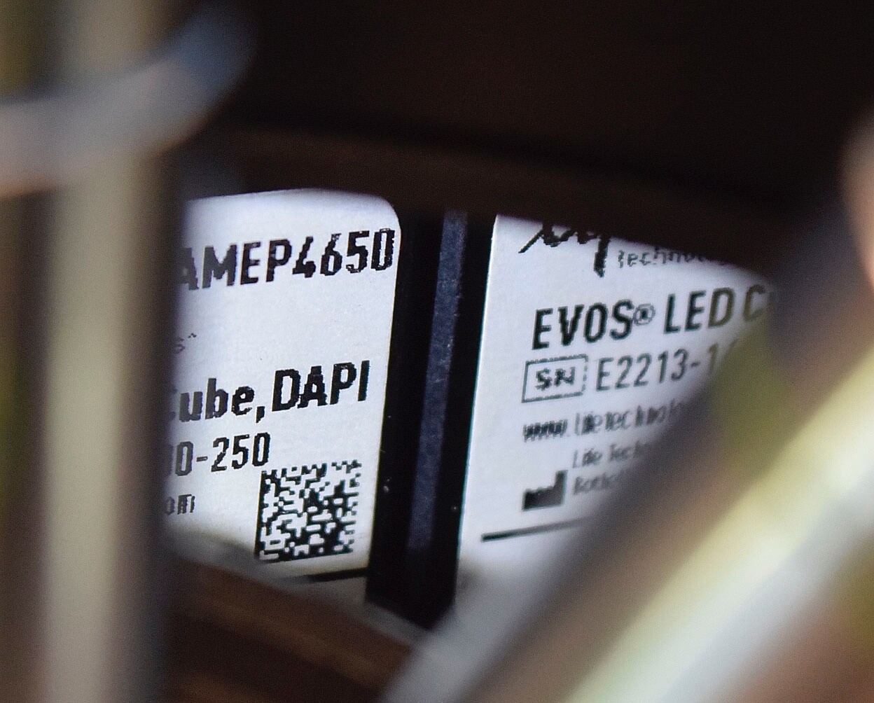 Life Technologies EVOS FL Auto Fluorescence Imaging Digital Microscope ...