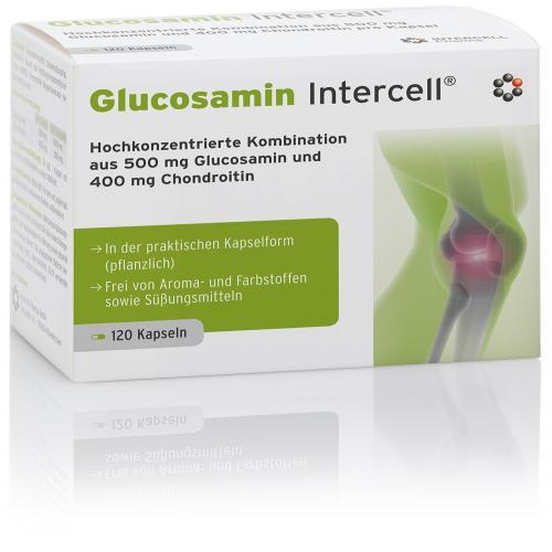 GLUCOSAMIN INTERCELL Kapseln 120 ST | eBay.de