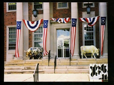 New Jersey NJ real photo postcard RPPC West Orange Cow Parade Edison ...