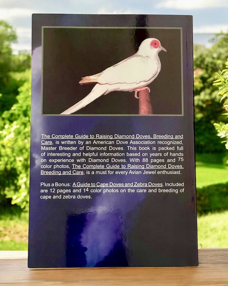 The Complete Guide To Raising Diamond Doves, Cape & Zebra Doves. | eBay UK