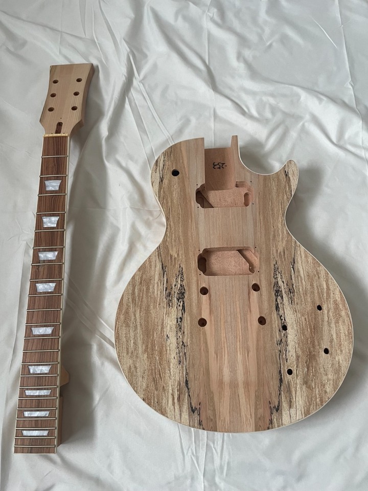 DIY ElectricGuitar Kit LP Style Landscape Painting Rosewood Fretboard ...