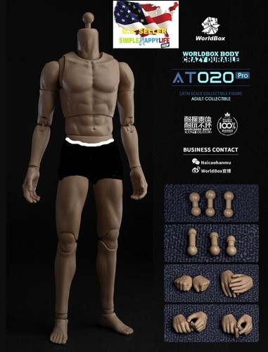 WorldBox 1/6 AT020 Pro Upgraded 12" Male Muscle Action Figure Durable ...