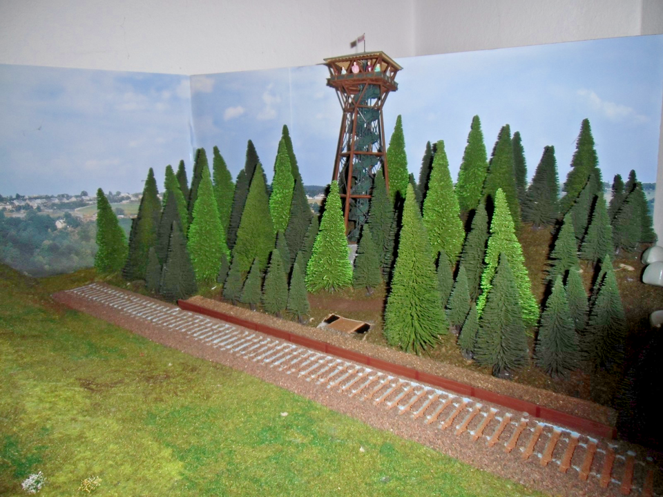 ca. 60x Tannenbäume , 50mm-210mm Lang aus Anlagen Rückbau Spur 0 | eBay