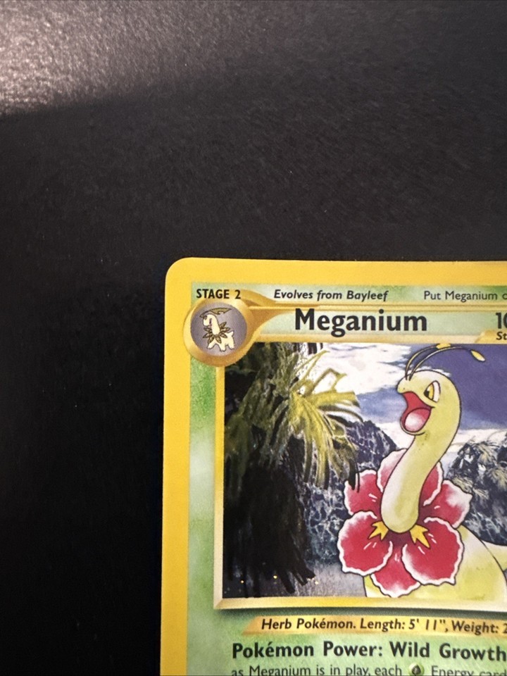 Pokémon TCG Meganium Neo Genesis Holo Unlimited Rare Card 11/111 | eBay
