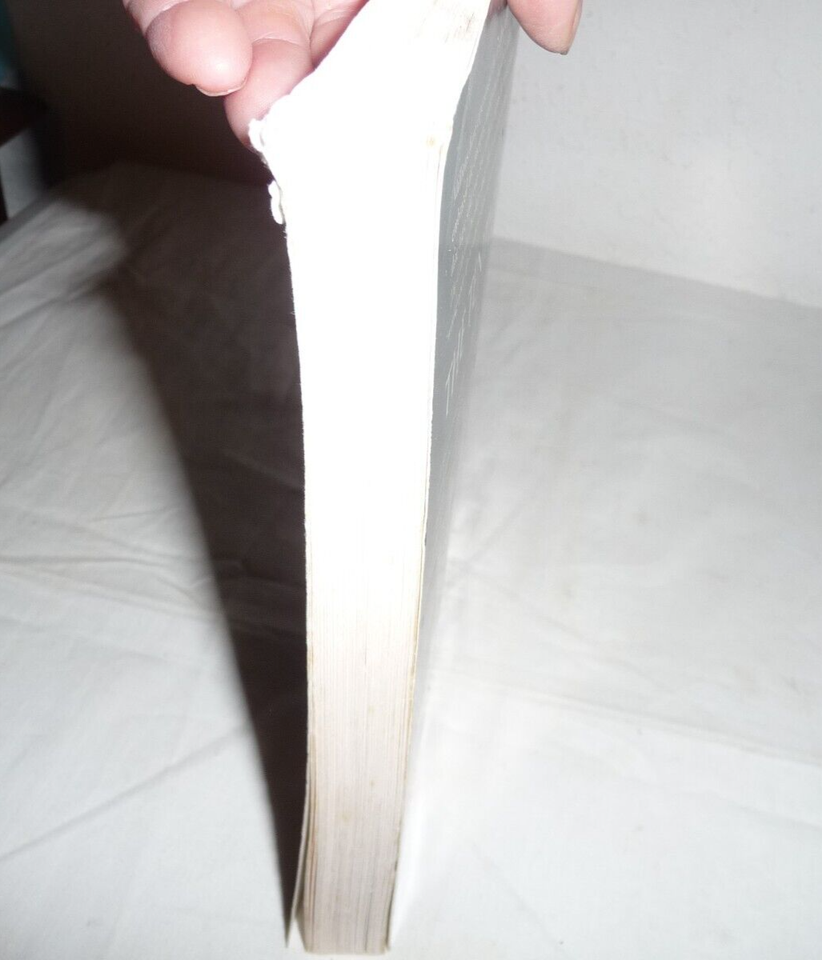 The Tenth Insight: Holding the Vision (Celestine Prophecy) - Paperback ...