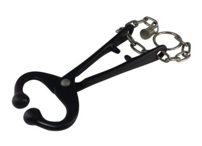 Bull Cow Nose Lead 7.5" and Chain 13" Show Cattle Steel Farm Ranch ...