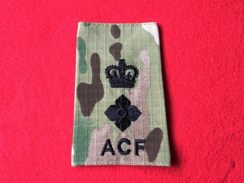 SALES ITEM Quality Multicam ACF Lieutenant Colonel Combat Rank Slide CD ...
