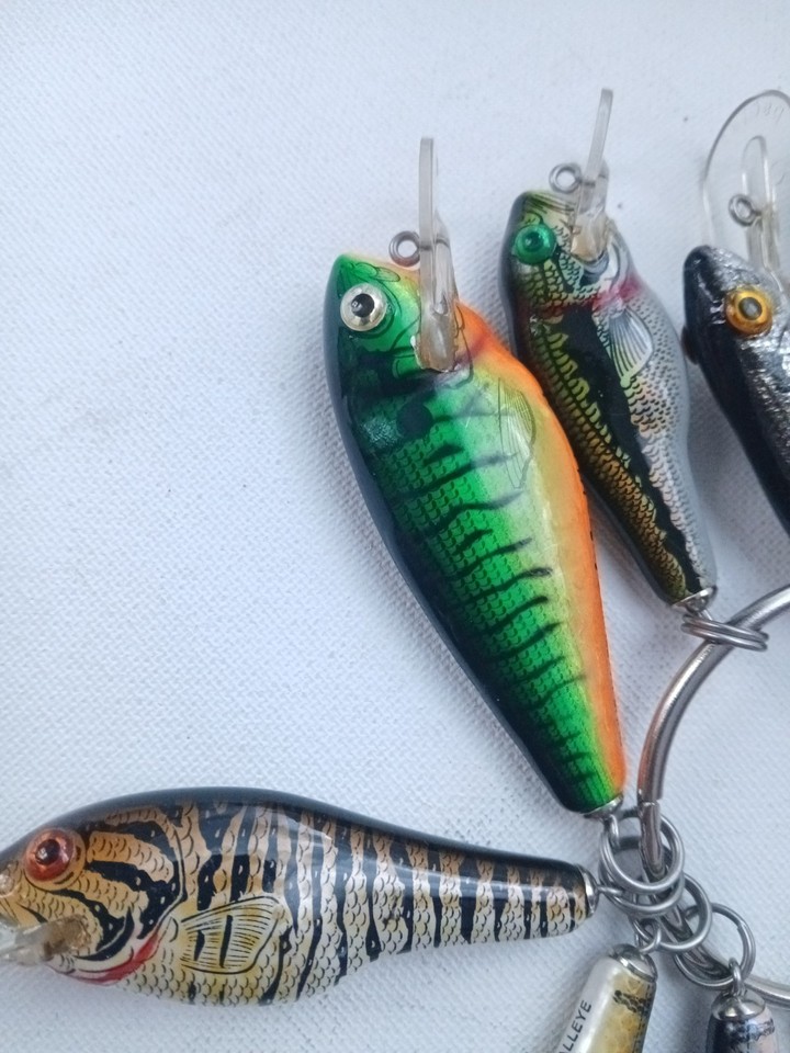 BAGLEY SALEMANS SAMPLE FISHING LURE | eBay