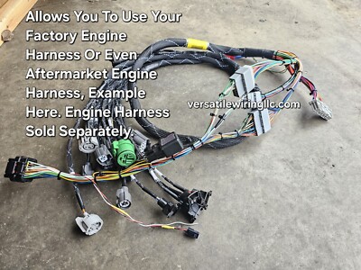 Haltech 550 750 Jumper Harness for Honda Acura OBD1 OBD2A OBD2B V-tec ...