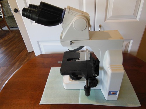 NIKON ECLIPSE E400 ERGO BINOCULAR MICROSCOPE 4/10/40/100 Plan Acro | eBay