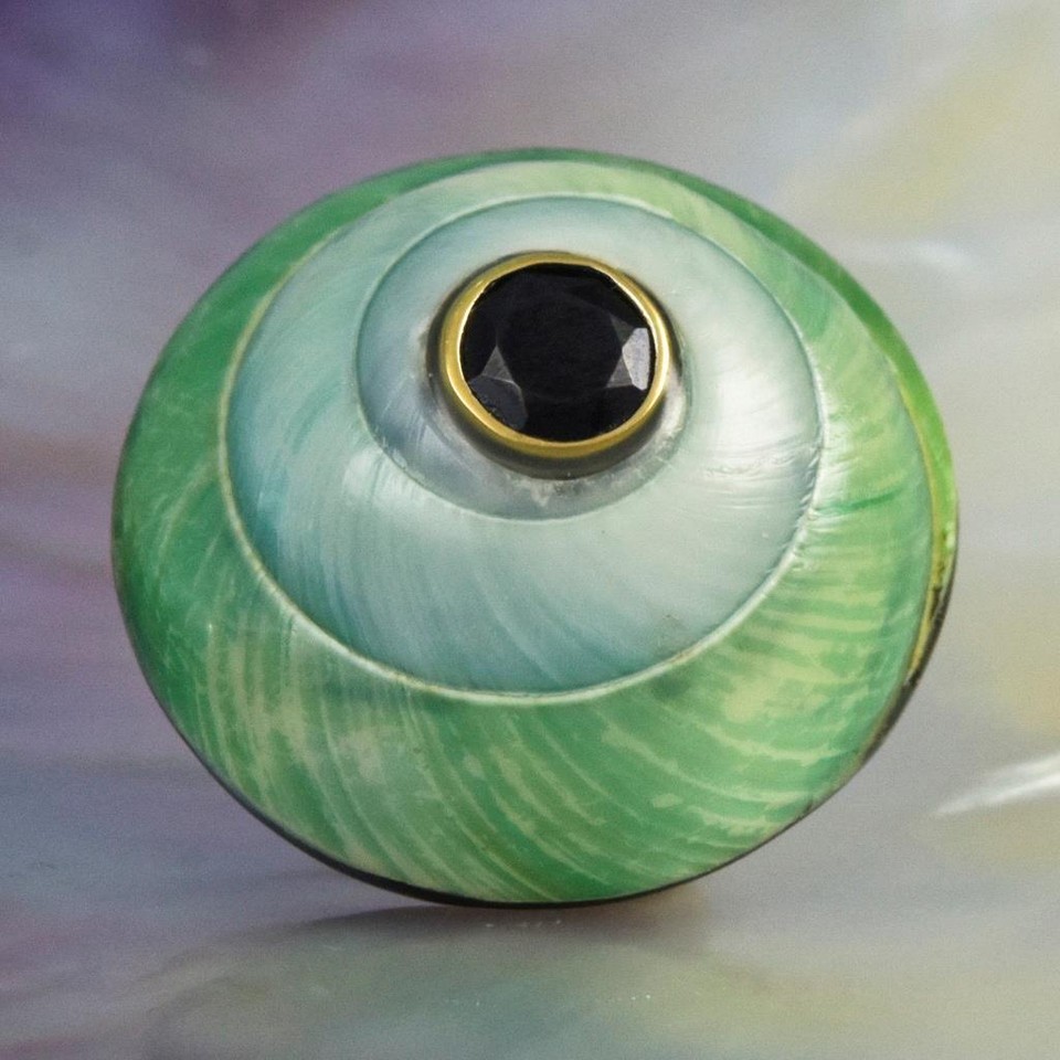 Evil Eye Design Natural Green Land Snail Asperitas bimaensis Black ...