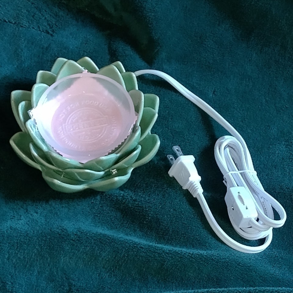 Scentsy DESERT BLOOM Wax Warmer Element Succulent | eBay