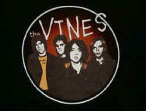 THE VINES - Vintage Group shot with logo t-shirt ~NEW~ Youth M | eBay