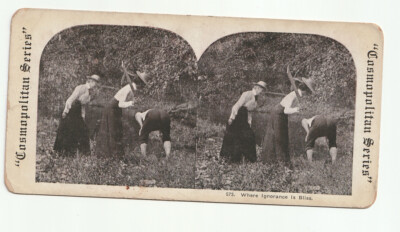 Where Ignorance Is Bliss, Victorian Ladies Viewing A Man’s Bum 573 ...
